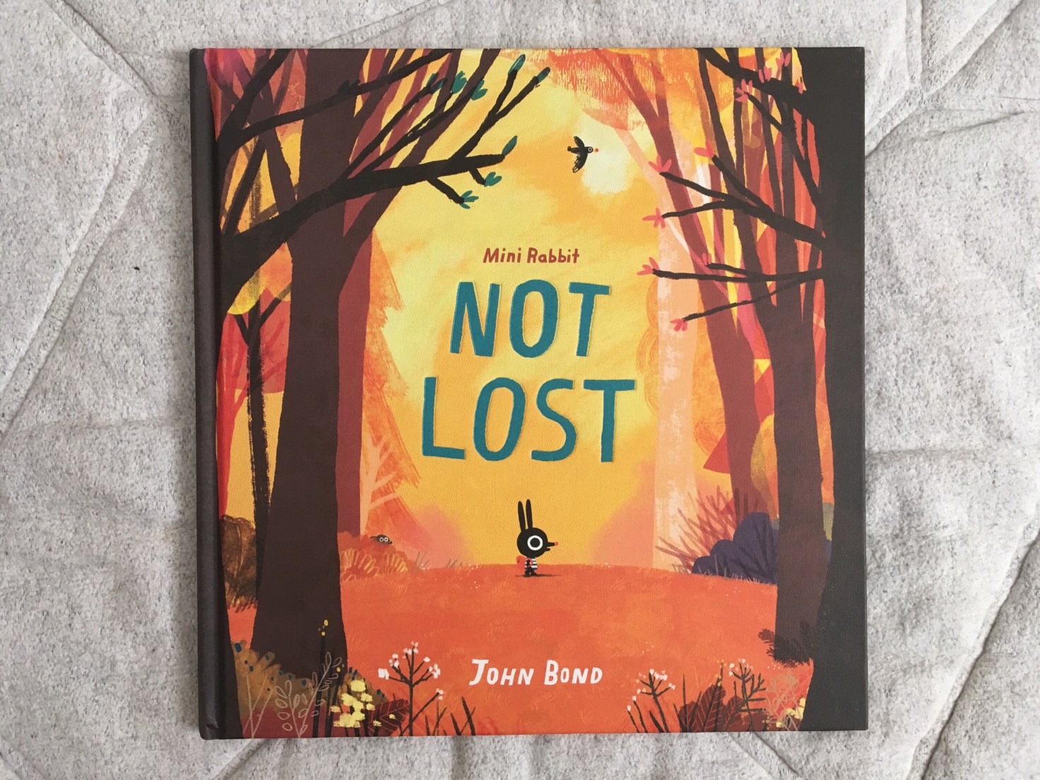 12 of the best books about bunnies – Books with Baby